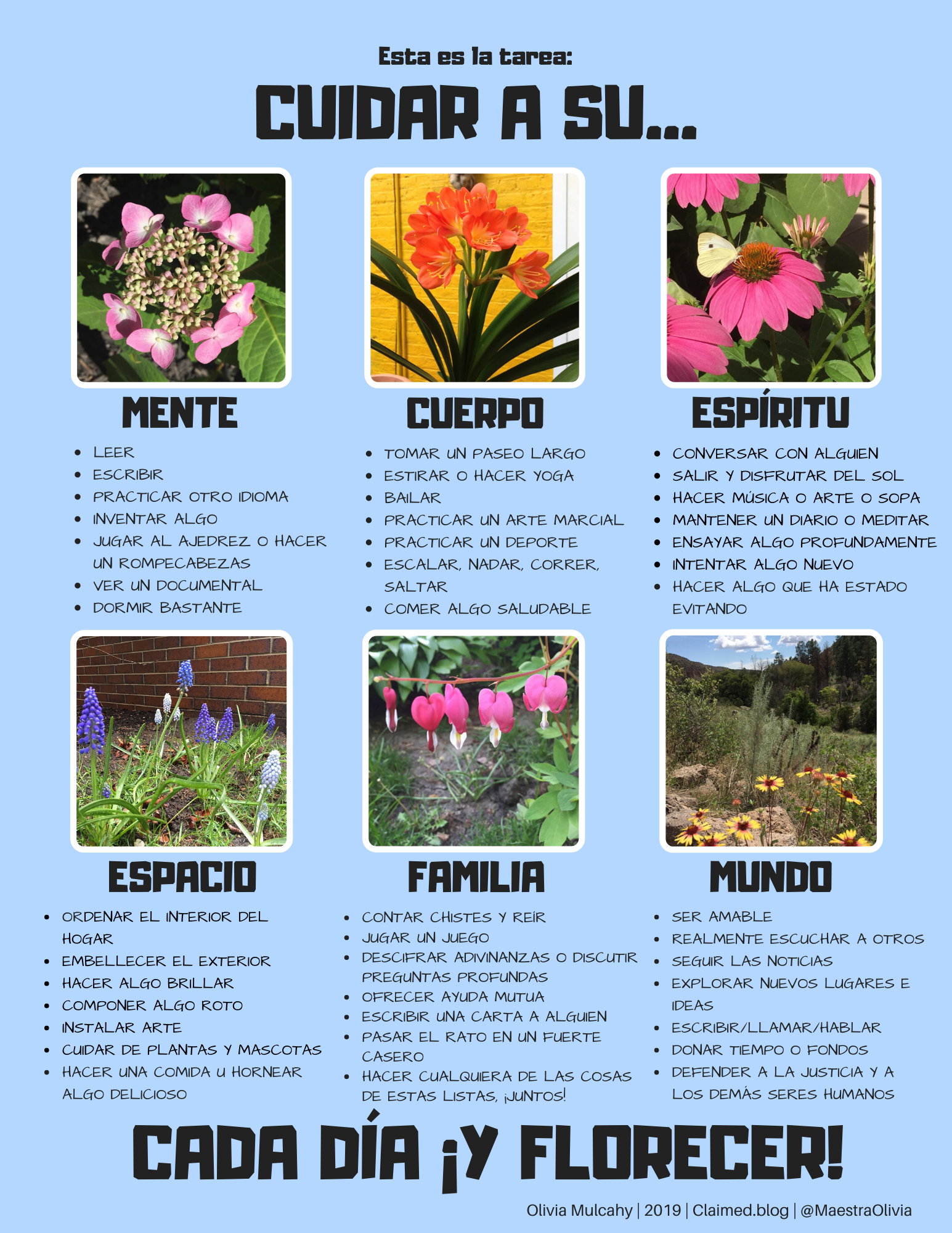 Take Care. That is the Curriculum. – CLAIMED